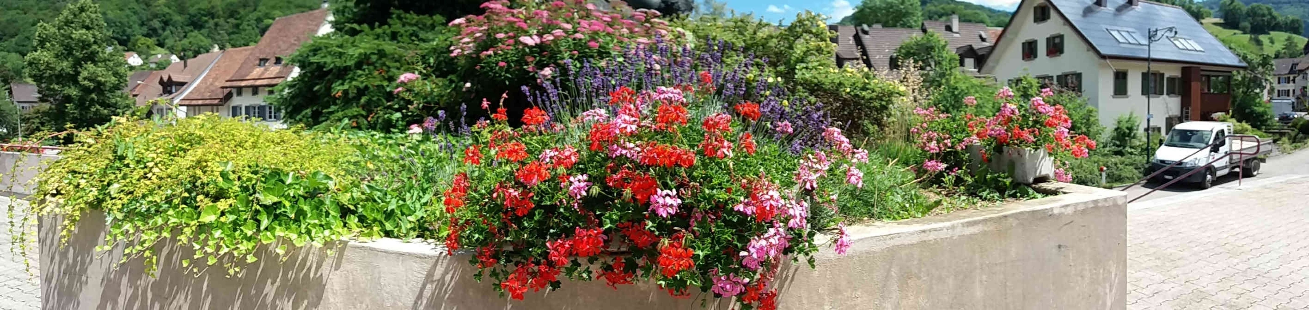 Reigoldswil: Startseite