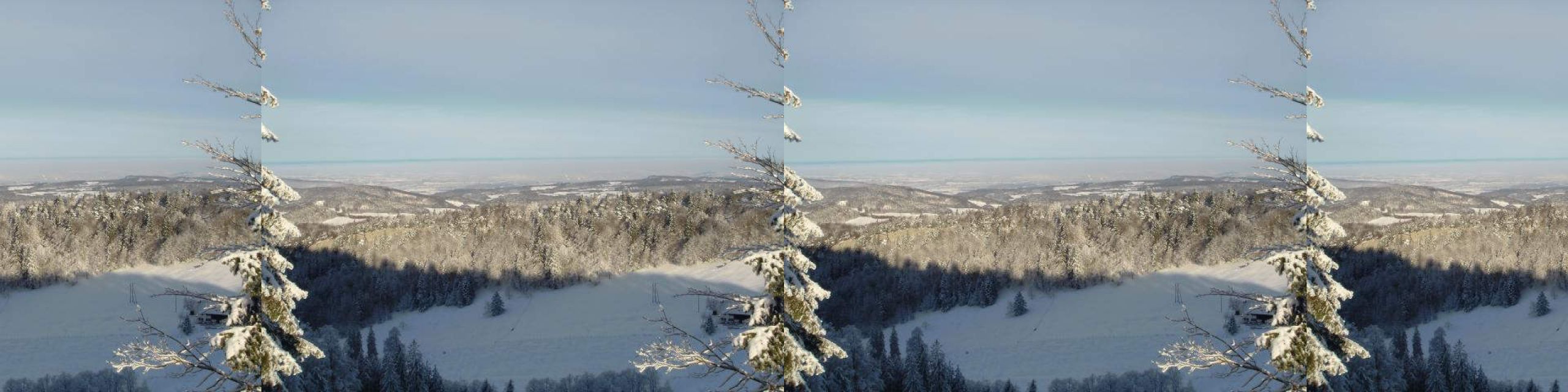 Reigoldswil: Startseite