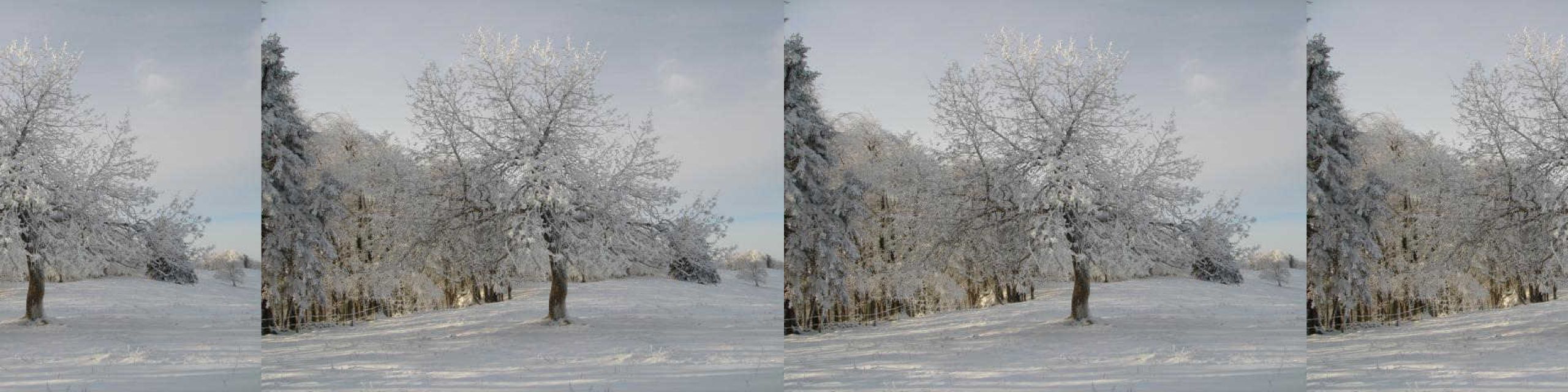 Reigoldswil: Startseite