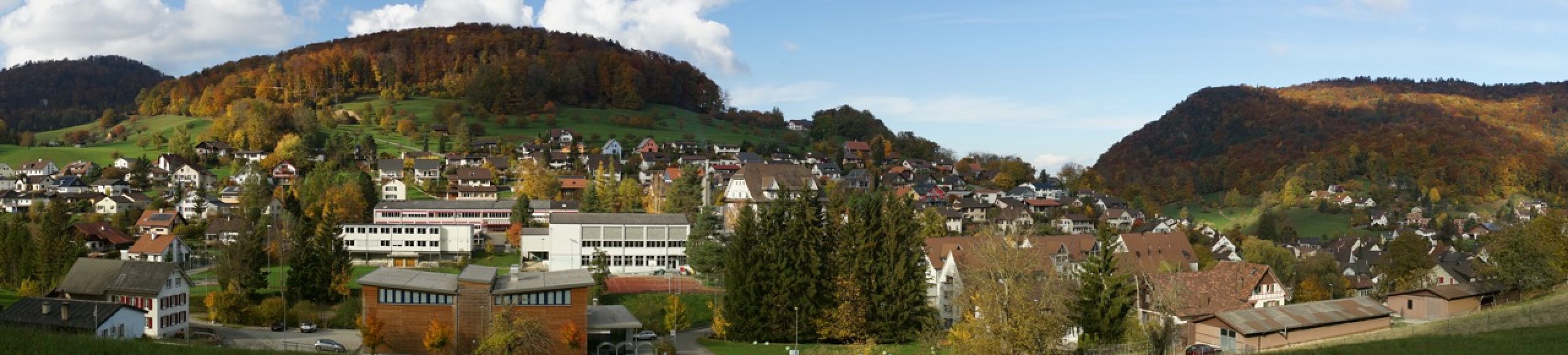 Reigoldswil: Startseite