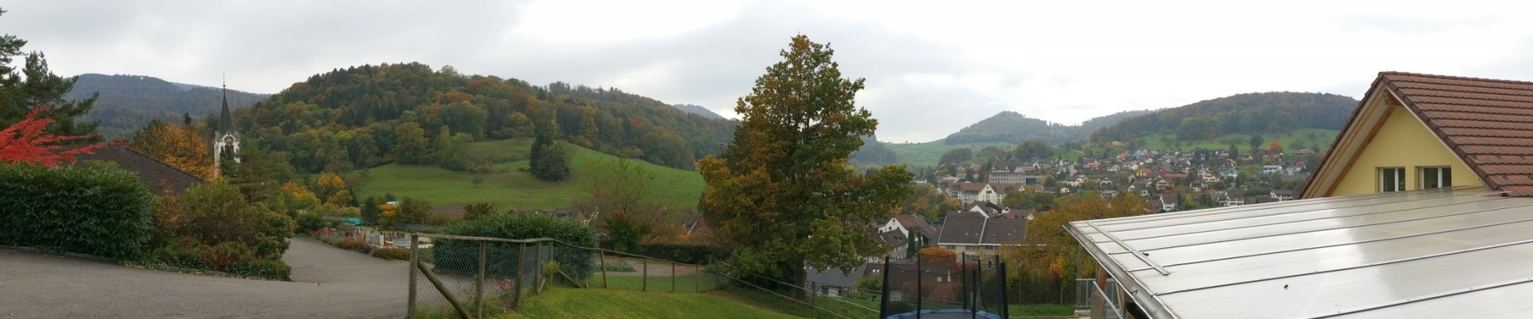 Reigoldswil: Startseite