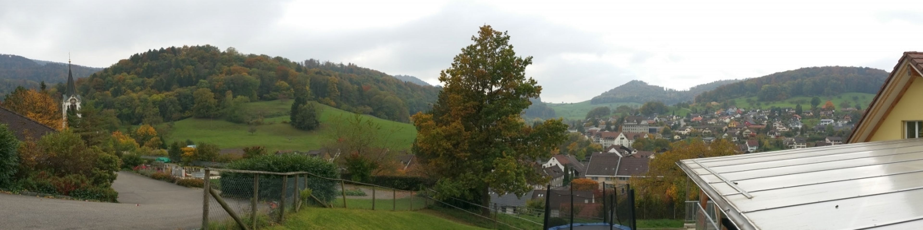 Reigoldswil: Startseite