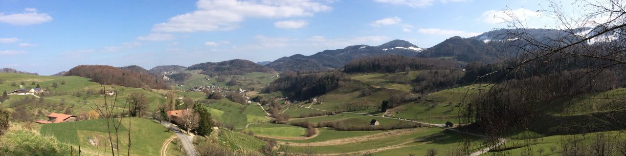 Reigoldswil: Startseite