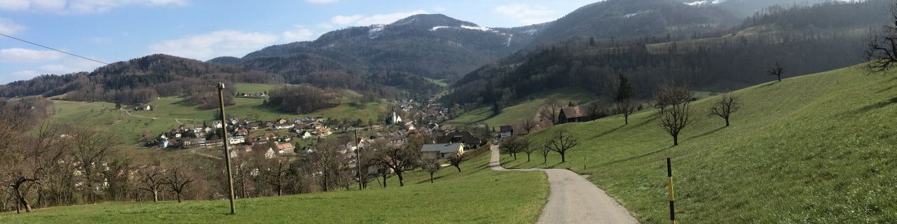 Reigoldswil: Startseite